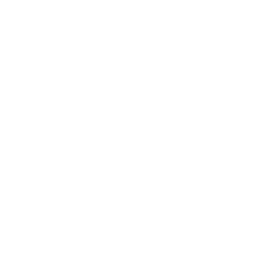 SOLVISION_LOGO - Muelle Uno