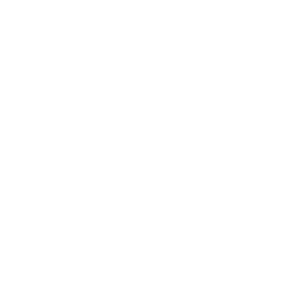 SOLVISION_LOGO - Muelle Uno